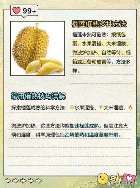 榴莲怎么催熟最快_榴莲放几天能熟-第2张图片-山城妙识 榴莲怎么催熟最快_榴莲放几天能熟-第2张图片-山城妙识