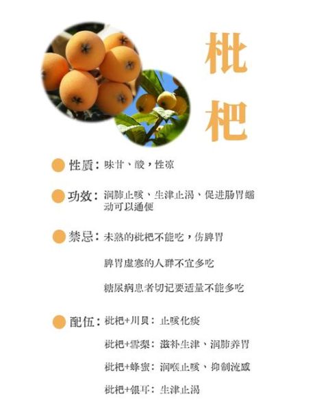 枇杷果的功效与作用_枇杷果可以吃多吗-第1张图片-山城妙识