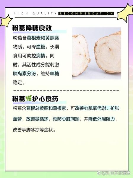 葛粉的作用与功效有哪些_葛粉怎么吃最健康-第2张图片-山城妙识
