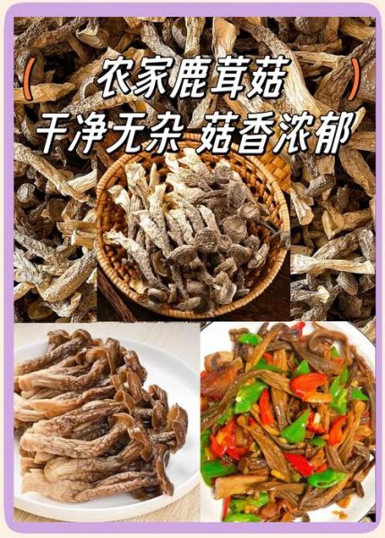 炒野生蘑菇的家常做法_野生蘑菇怎么炒才好吃-第1张图片-山城妙识 炒野生蘑菇的家常做法_野生蘑菇怎么炒才好吃-第1张图片-山城妙识
