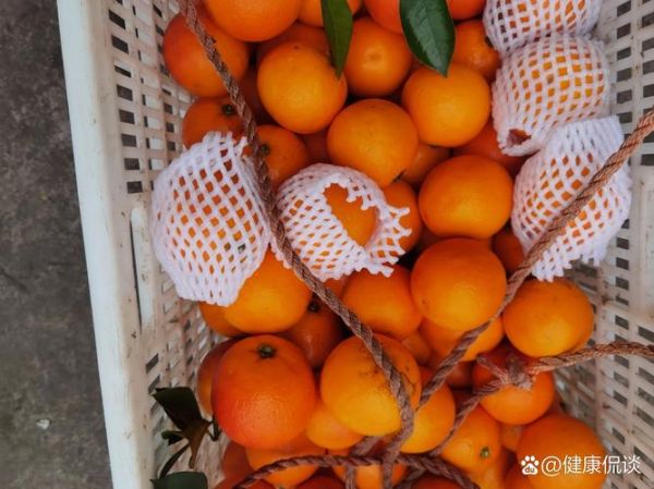 橙子是上火还是降火_吃橙子会上火吗-第2张图片-山城妙识 橙子是上火还是降火_吃橙子会上火吗-第2张图片-山城妙识
