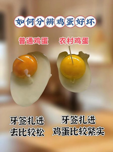 鸡蛋放了3个月能吃吗_如何判断鸡蛋是否变质-第1张图片-山城妙识 鸡蛋放了3个月能吃吗_如何判断鸡蛋是否变质-第1张图片-山城妙识