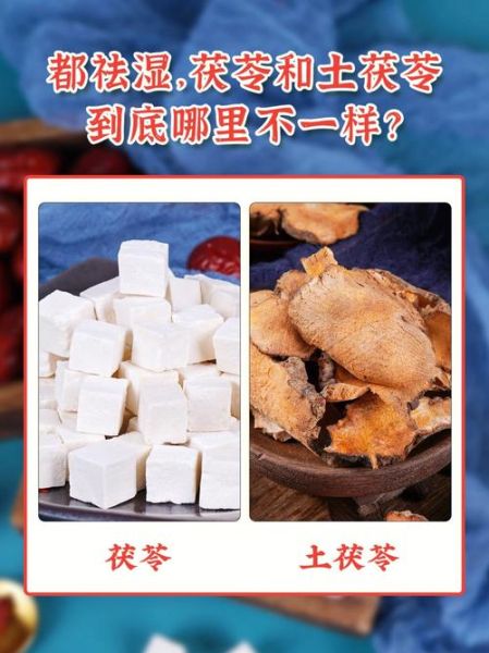 茯苓和土茯苓有什么区别_哪个更适合祛湿-第1张图片-山城妙识 茯苓和土茯苓有什么区别_哪个更适合祛湿-第1张图片-山城妙识