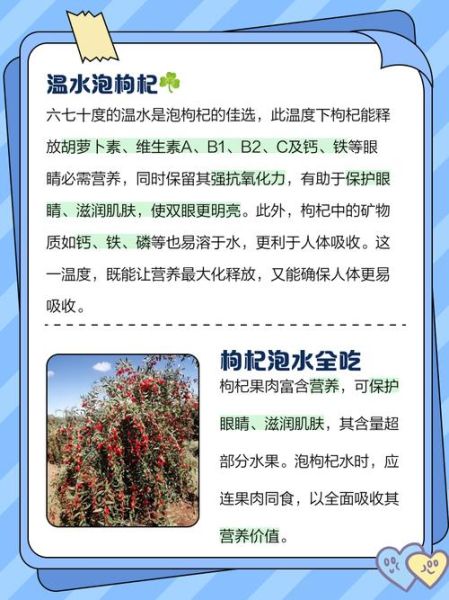 枸杞泡水喝的正确方法水温_枸杞泡水水温多少度最好-第2张图片-山城妙识 枸杞泡水喝的正确方法水温_枸杞泡水水温多少度最好-第2张图片-山城妙识