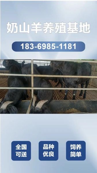 回本最快的养殖业有哪些_小型养殖项目多久盈利-第3张图片-山城妙识 回本最快的养殖业有哪些_小型养殖项目多久盈利-第3张图片-山城妙识