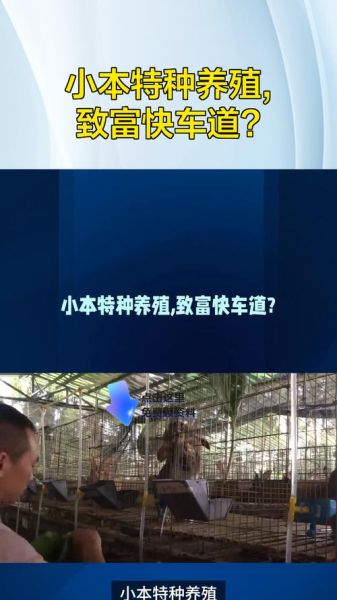 回本最快的养殖业有哪些_小型养殖项目多久盈利-第2张图片-山城妙识 回本最快的养殖业有哪些_小型养殖项目多久盈利-第2张图片-山城妙识