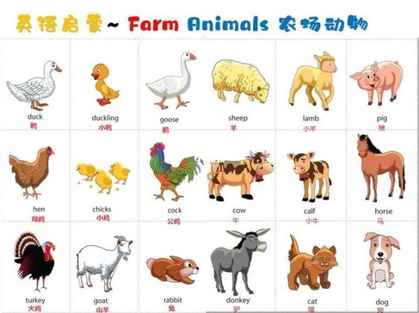 what_animals_are_in_the_zoo_动物园里有哪些动物英文名称-第1张图片-山城妙识