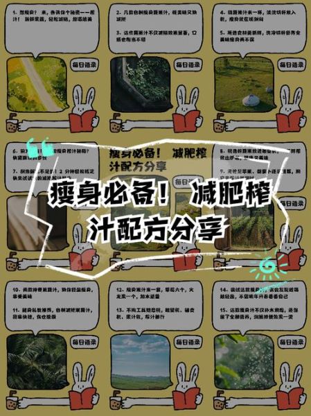 榨汁食谱减肥有用吗_一周瘦几斤-第1张图片-山城妙识 榨汁食谱减肥有用吗_一周瘦几斤-第1张图片-山城妙识