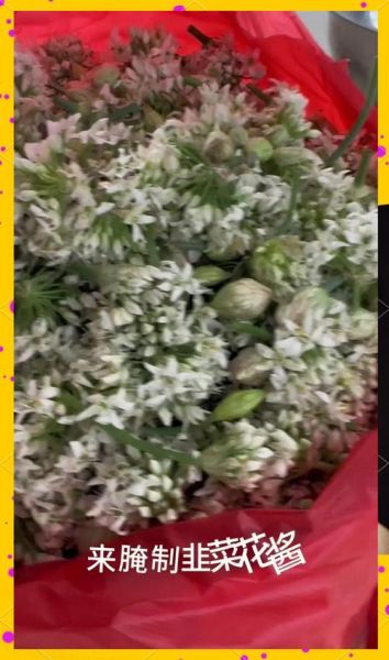 韭菜花怎么做好吃_韭菜花酱的正宗做法-第1张图片-山城妙识 韭菜花怎么做好吃_韭菜花酱的正宗做法-第1张图片-山城妙识