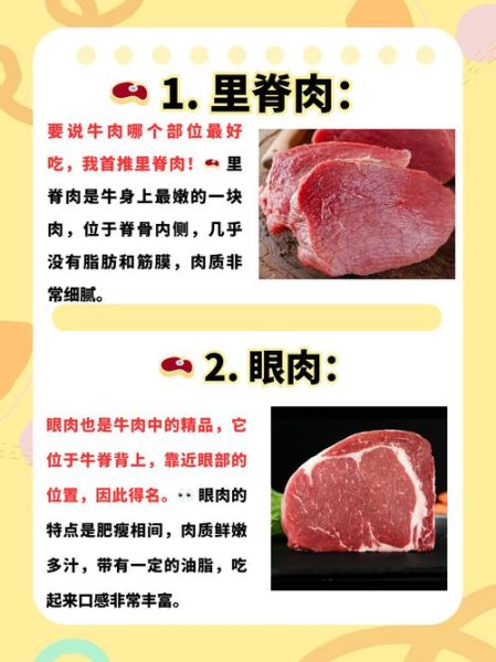 牛肉的功效与作用及禁忌_哪些人不能吃牛肉-第2张图片-山城妙识 牛肉的功效与作用及禁忌_哪些人不能吃牛肉-第2张图片-山城妙识