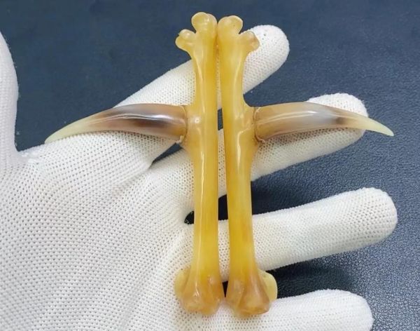 鸡爪子骨头文玩价格_鸡爪骨手串多少钱一串-第2张图片-山城妙识 鸡爪子骨头文玩价格_鸡爪骨手串多少钱一串-第2张图片-山城妙识