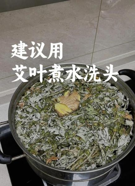 艾叶煮水洗头能白发变黑发吗_艾叶洗头多久见效-第1张图片-山城妙识 艾叶煮水洗头能白发变黑发吗_艾叶洗头多久见效-第1张图片-山城妙识
