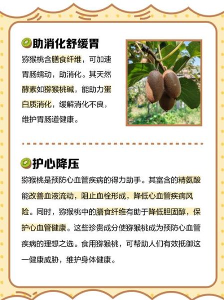 弥猴桃的功效与作用_弥猴桃的副作用有哪些-第2张图片-山城妙识 弥猴桃的功效与作用_弥猴桃的副作用有哪些-第2张图片-山城妙识