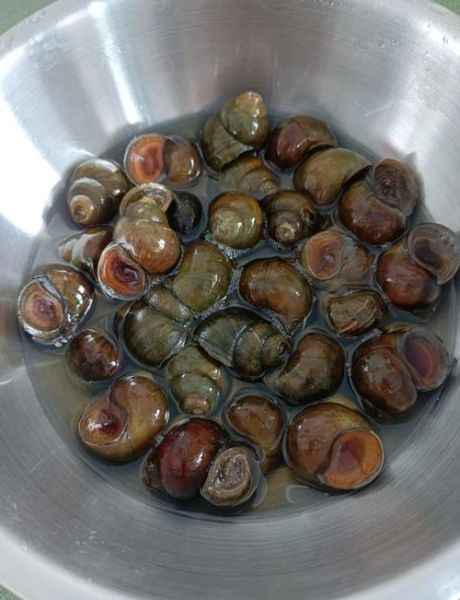 水煮田螺怎么做好吃_水煮田螺要煮多久才入味-第3张图片-山城妙识 水煮田螺怎么做好吃_水煮田螺要煮多久才入味-第3张图片-山城妙识