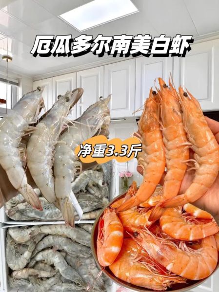 厄瓜多尔白虾怎么做好吃_厄瓜多尔白虾做法大全-第1张图片-山城妙识