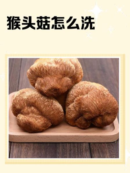 猴头菇怎么洗才干净_猴头菇清洗的正确方法-第1张图片-山城妙识