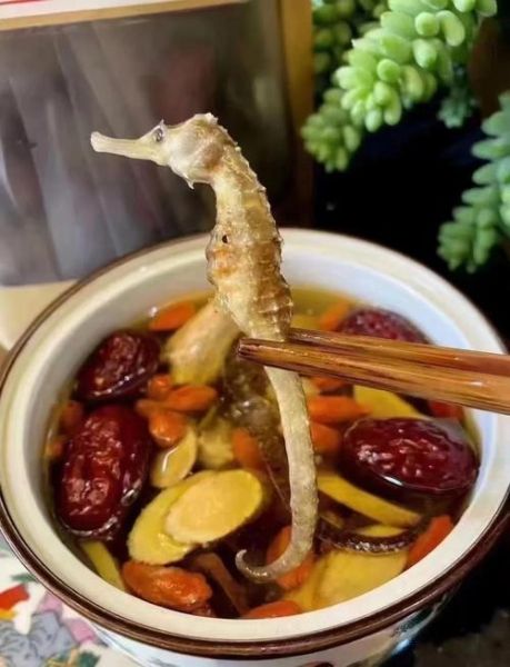 海马炖鸡汤的做法大全_海马炖鸡汤的功效与禁忌-第1张图片-山城妙识