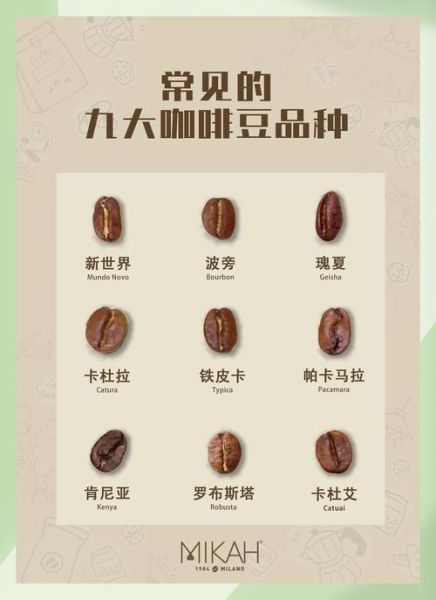 世界十大奢侈品牌咖啡有哪些_如何品鉴顶级咖啡豆-第1张图片-山城妙识