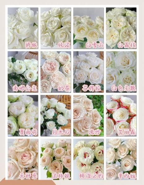 玫瑰花图片大全鲜花_如何挑选高清玫瑰图-第2张图片-山城妙识