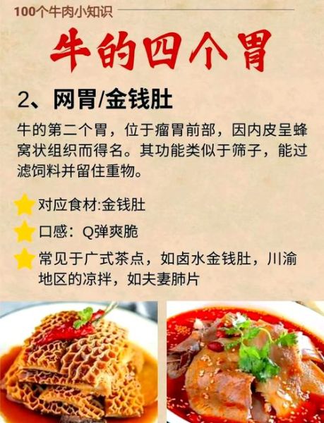 四个牛肚分别叫什么_牛肚部位图解-第3张图片-山城妙识 四个牛肚分别叫什么_牛肚部位图解-第3张图片-山城妙识