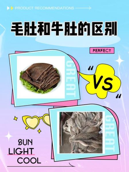 四个牛肚分别叫什么_牛肚部位图解-第1张图片-山城妙识 四个牛肚分别叫什么_牛肚部位图解-第1张图片-山城妙识