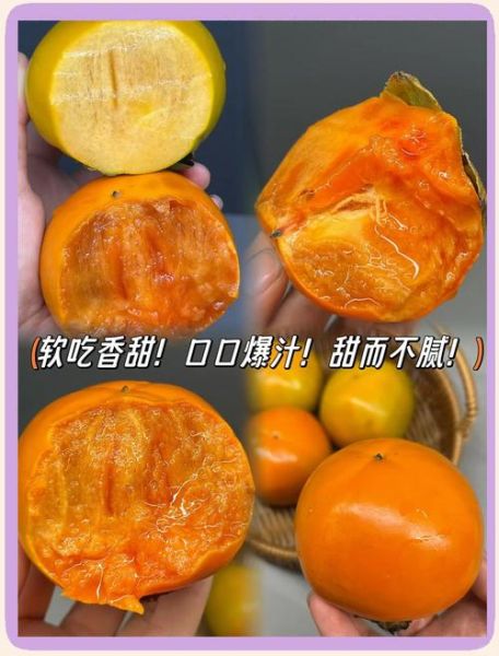 甜脆柿怎么挑_甜脆柿和软柿区别-第1张图片-山城妙识 甜脆柿怎么挑_甜脆柿和软柿区别-第1张图片-山城妙识