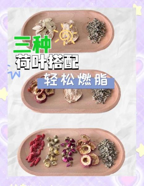 荷叶茶减肥正确喝法_荷叶茶什么时候喝效果最好-第2张图片-山城妙识