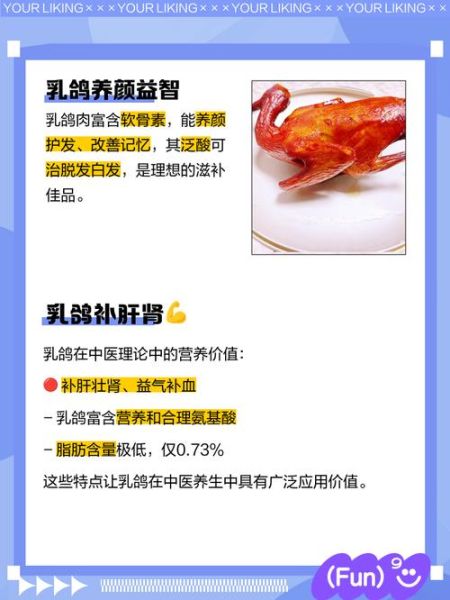 乳鸽的营养价值_乳鸽的功效与作用-第1张图片-山城妙识