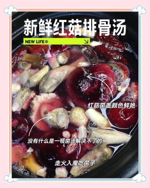 红菇怎么做好吃_红菇炖汤做法大全-第3张图片-山城妙识 红菇怎么做好吃_红菇炖汤做法大全-第3张图片-山城妙识