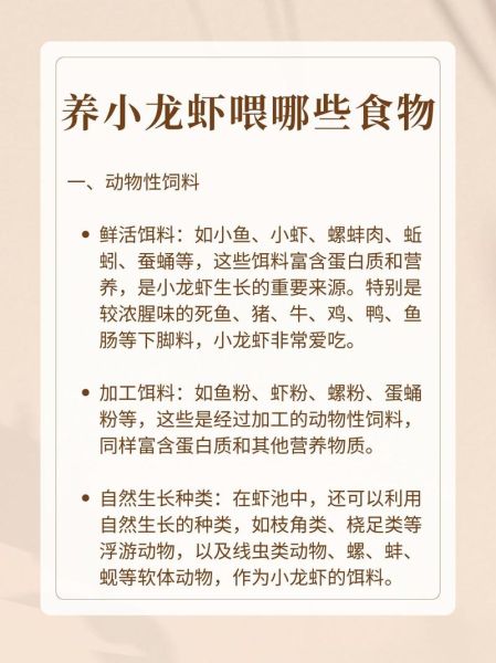 家里养小龙虾喂它什么_小龙虾食物清单-第1张图片-山城妙识