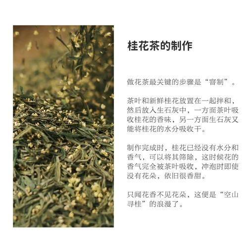 摘下桂花怎么做桂花茶_桂花茶保存多久-第1张图片-山城妙识 摘下桂花怎么做桂花茶_桂花茶保存多久-第1张图片-山城妙识