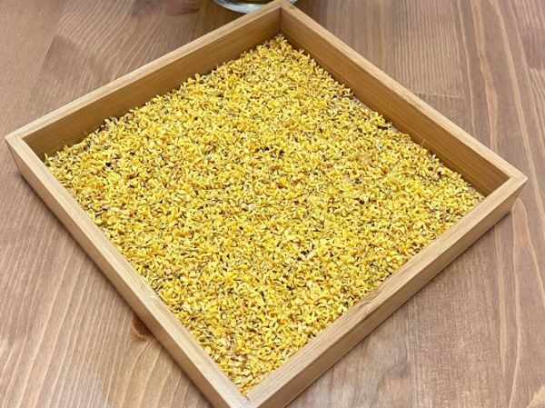 摘下桂花怎么做桂花茶_桂花茶保存多久-第2张图片-山城妙识 摘下桂花怎么做桂花茶_桂花茶保存多久-第2张图片-山城妙识