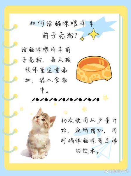 车前子壳粉能减肥吗_车前子壳粉怎么吃-第1张图片-山城妙识