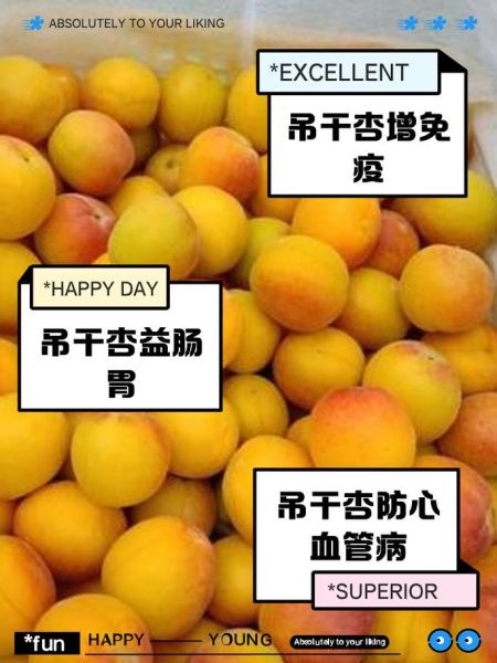 杏的营养价值有哪些_杏的食用功效与禁忌-第2张图片-山城妙识