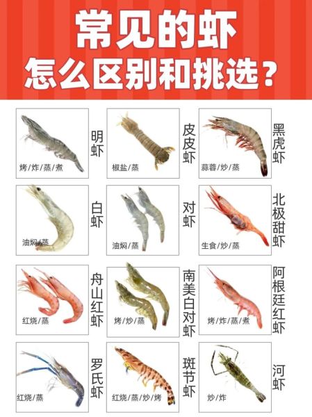 青虾是淡水虾还是海水虾_青虾养殖水质要求-第3张图片-山城妙识