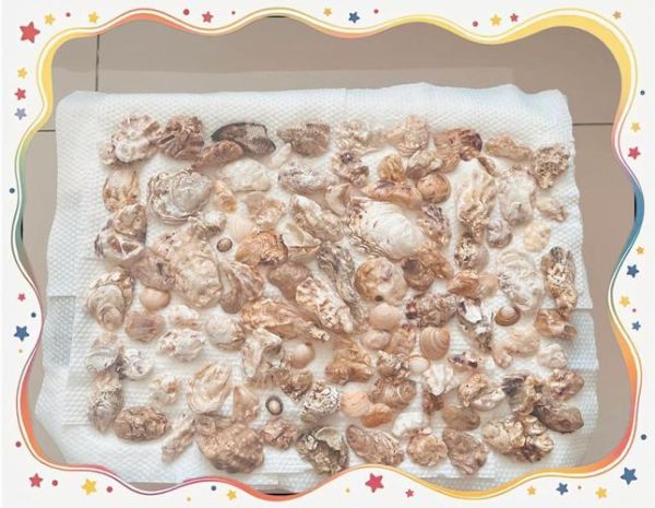 贝壳手工图片欣赏_如何拍摄贝壳手工细节-第1张图片-山城妙识 贝壳手工图片欣赏_如何拍摄贝壳手工细节-第1张图片-山城妙识