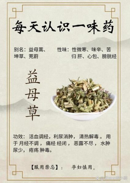 益母草副作用有哪些_益母草禁忌人群-第2张图片-山城妙识