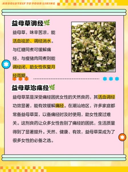 益母草副作用有哪些_益母草禁忌人群-第3张图片-山城妙识