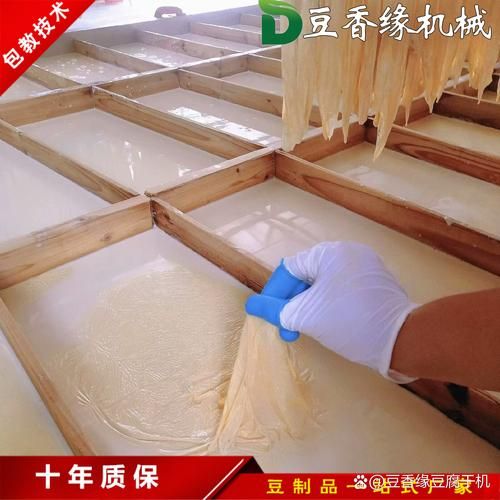 腐竹机多少钱一套_小型腐竹机价格是多少-第1张图片-山城妙识 腐竹机多少钱一套_小型腐竹机价格是多少-第1张图片-山城妙识