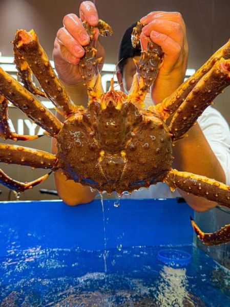 帝王蟹图片大全大图_高清细节怎么拍-第2张图片-山城妙识 帝王蟹图片大全大图_高清细节怎么拍-第2张图片-山城妙识