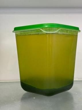 斑斓叶奶茶怎么做_斑斓叶奶茶配方比例-第3张图片-山城妙识 斑斓叶奶茶怎么做_斑斓叶奶茶配方比例-第3张图片-山城妙识