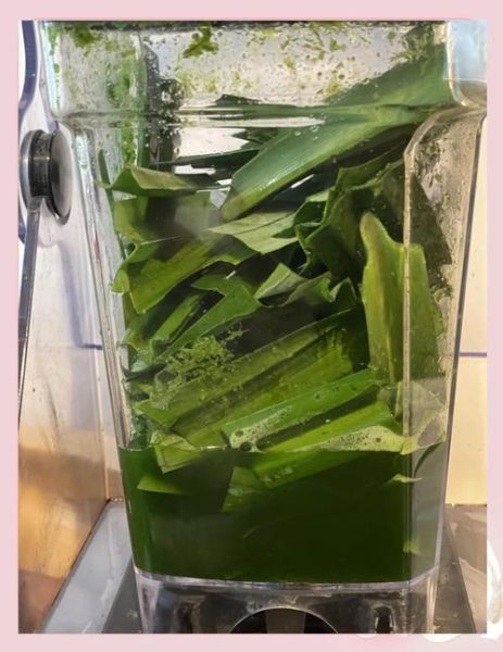 斑斓叶奶茶怎么做_斑斓叶奶茶配方比例-第2张图片-山城妙识 斑斓叶奶茶怎么做_斑斓叶奶茶配方比例-第2张图片-山城妙识