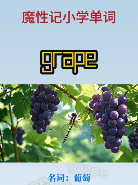 what_are_grapes_in_english_how_to_pronounce_grapes-第3张图片-山城妙识