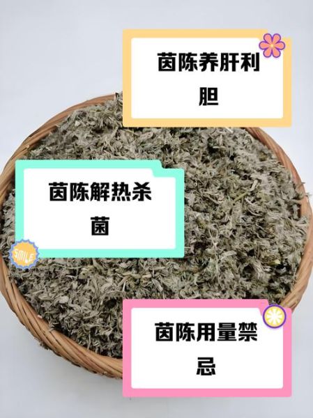 茵陈的功效与作用_茵陈能长期泡水喝吗-第1张图片-山城妙识