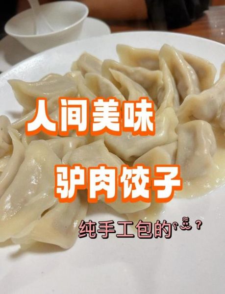 驴肉饺子馅怎么做_驴肉饺子馅怎么调才嫩-第1张图片-山城妙识 驴肉饺子馅怎么做_驴肉饺子馅怎么调才嫩-第1张图片-山城妙识