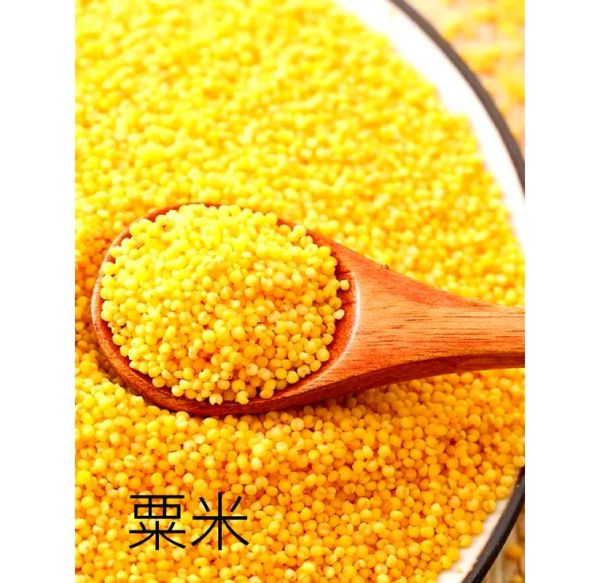 粟米是什么_粟米和小米的区别-第1张图片-山城妙识 粟米是什么_粟米和小米的区别-第1张图片-山城妙识