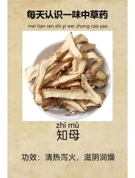 知母的功效与作用_知母主治哪些疾病-第2张图片-山城妙识 知母的功效与作用_知母主治哪些疾病-第2张图片-山城妙识