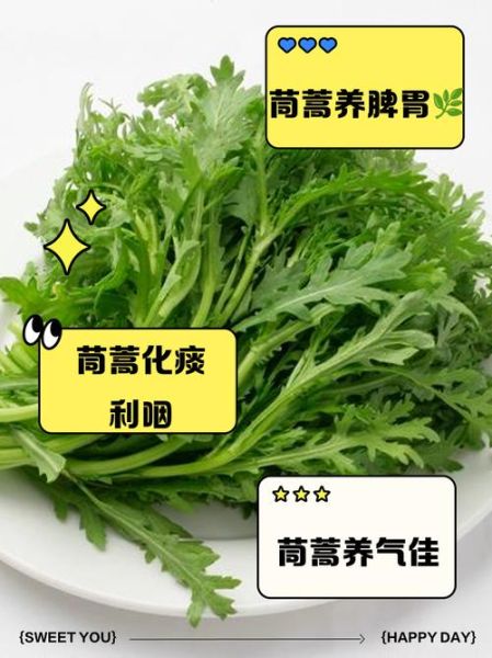茼蒿是发物吗_哪些人不能吃-第1张图片-山城妙识 茼蒿是发物吗_哪些人不能吃-第1张图片-山城妙识