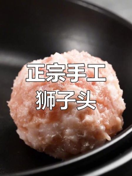 狮子头最简单做法_新手零失败配方-第3张图片-山城妙识