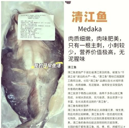 清江鱼多少钱一斤_清江鱼怎么做好吃-第1张图片-山城妙识